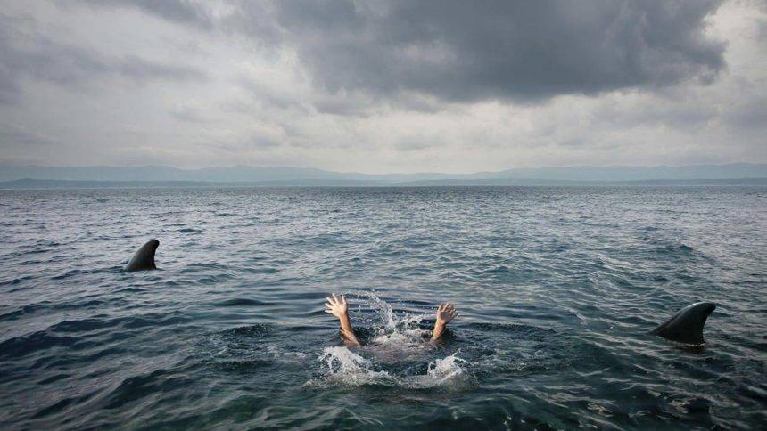 Simon Nellist Shark Attack, Simon Nellist Video, What Happened To Simon ...