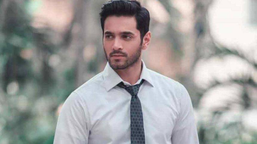 Wahaj Ali Net Worth 2025, Age, House, Salary, Height and Weight - NAYAG ...