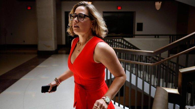 Who Is Kyrsten Sinema? Age, Net Worth, Photos, Children, Height ...